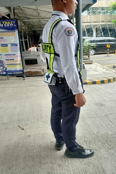 guard-detection-v2 Object Detection Dataset by Test