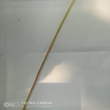 Rice Leaf Disease2 Classification Model by OBJECT DETECTION