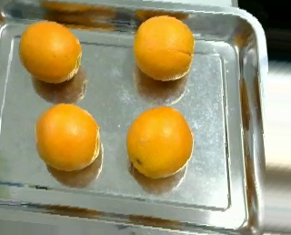 Project 2 BMEN 351 - Roboflow Universe