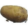 Potato Test Object Detection Dataset by areaofleaf