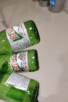 Vision Forge - Roboflow Universe