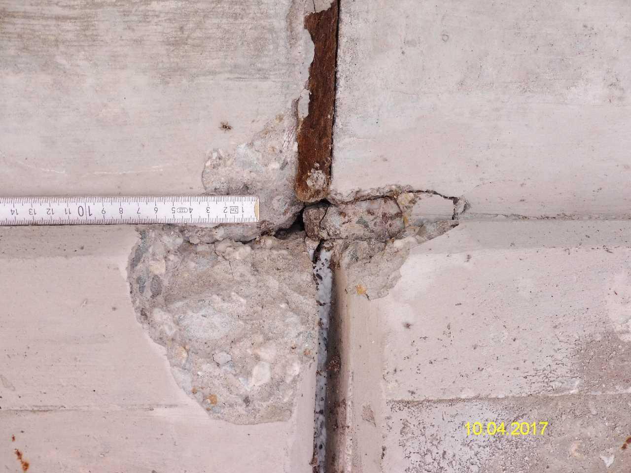 Patologias_Investigacion Instance Segmentation Dataset by USS