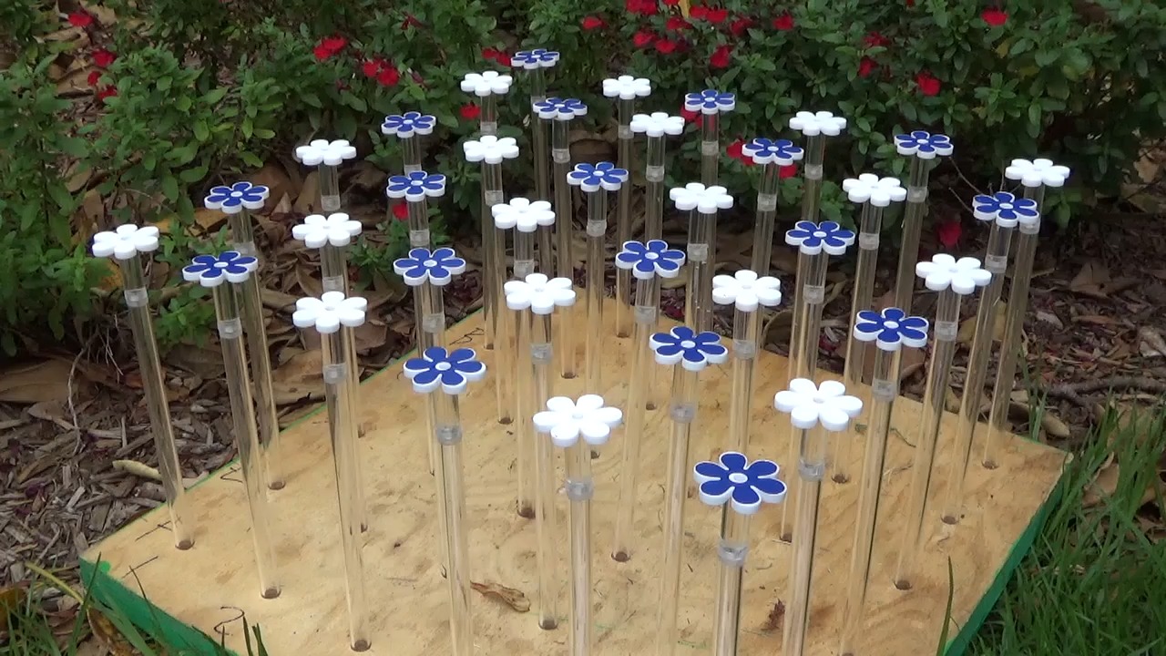 bee on fake flower Object Detection Dataset and Pre-Trained Model by Invertabrate behavior and ...