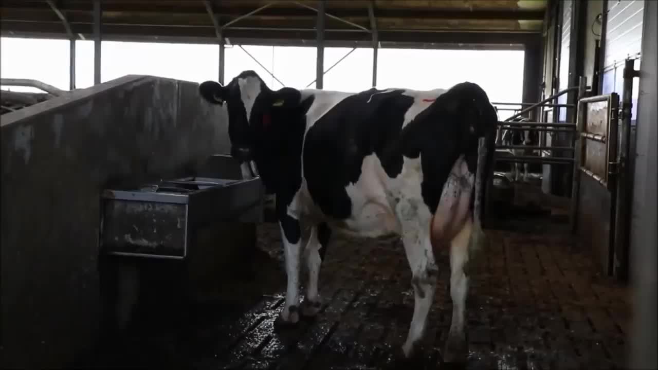 safety measure - Roboflow Universe