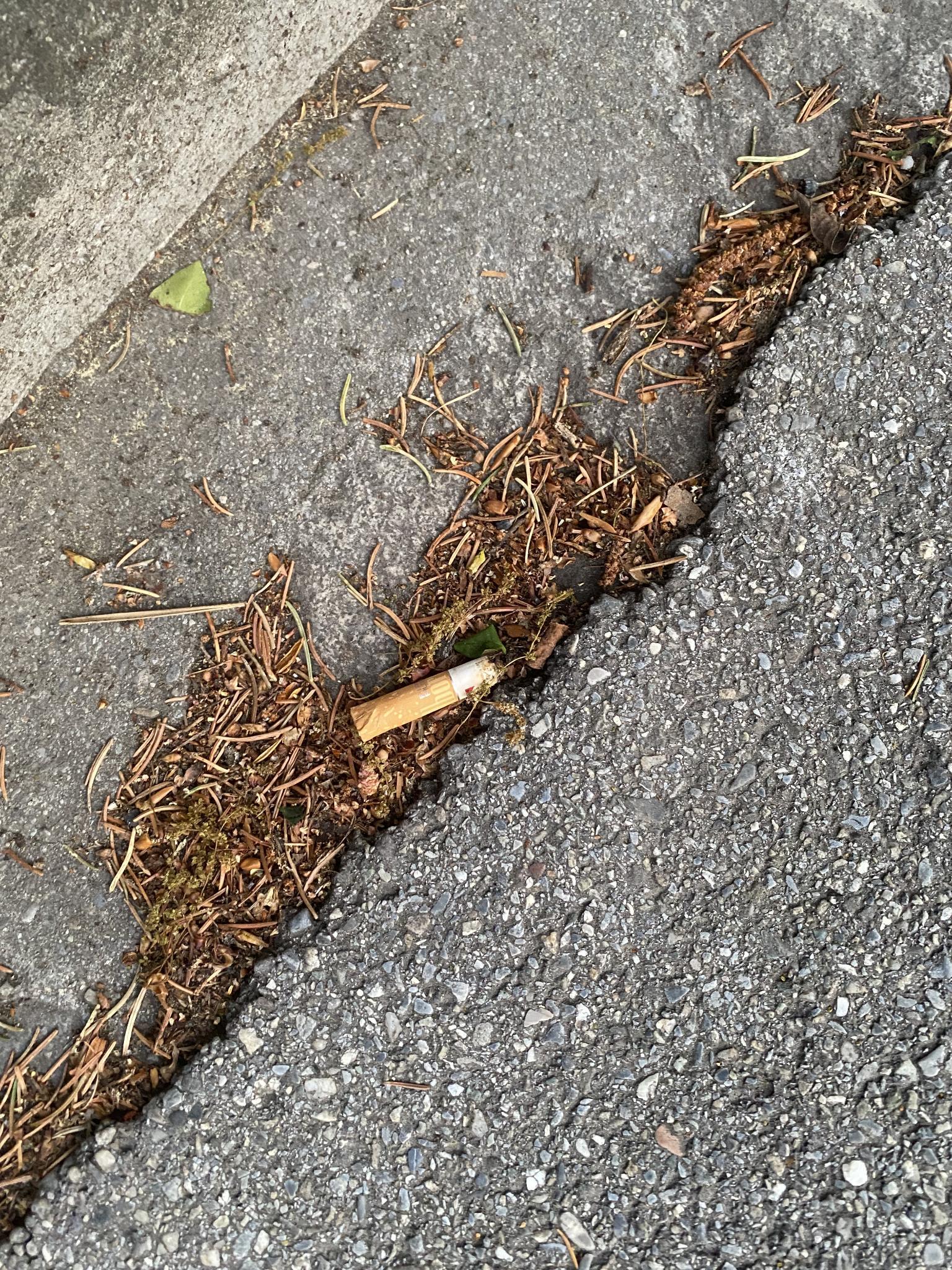 Yolo Cigarettes Butts Object Detection Dataset By Butt