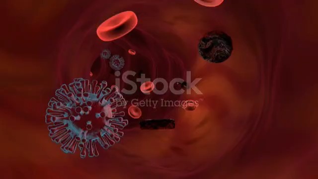 Medical Object Detection Dataset And Pre Trained Model By Akash