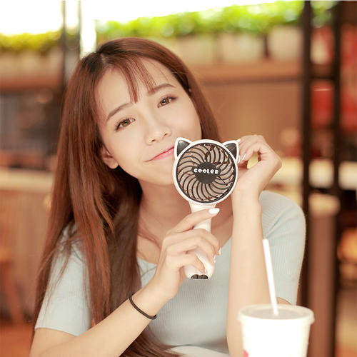 Fan finder Object Detection Dataset by Jatinder Kumar