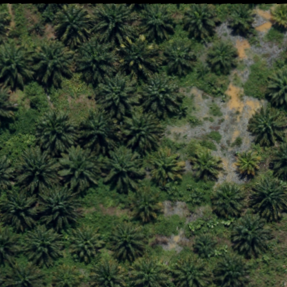 Sawit Detect Object Detection Dataset and Pre-Trained Model by Si tumbung