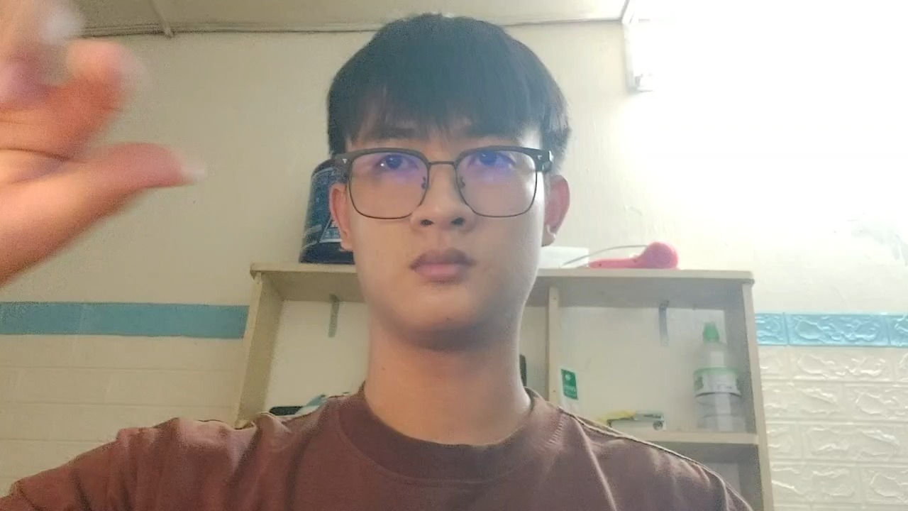 hand-segmentation Instance Segmentation Dataset by khangsworkspace