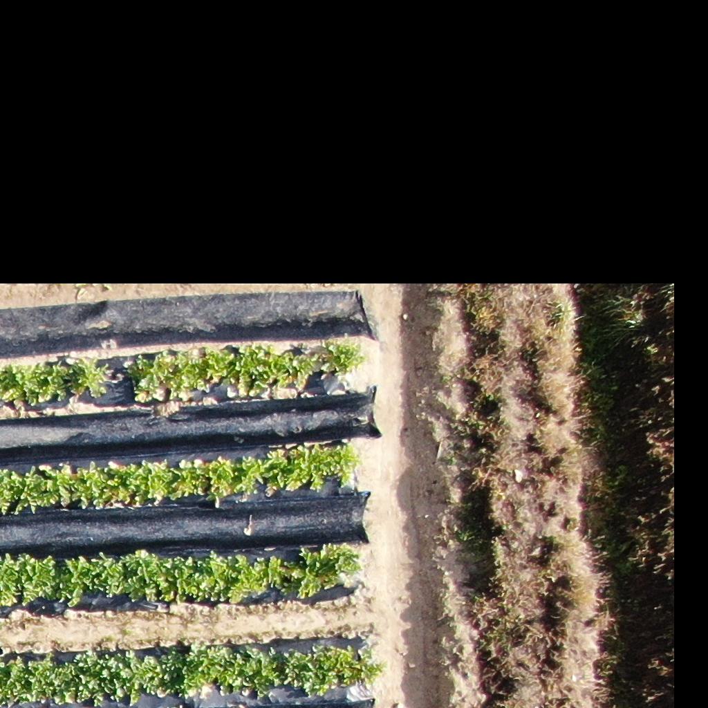 new_field Object Detection Dataset by Newfield