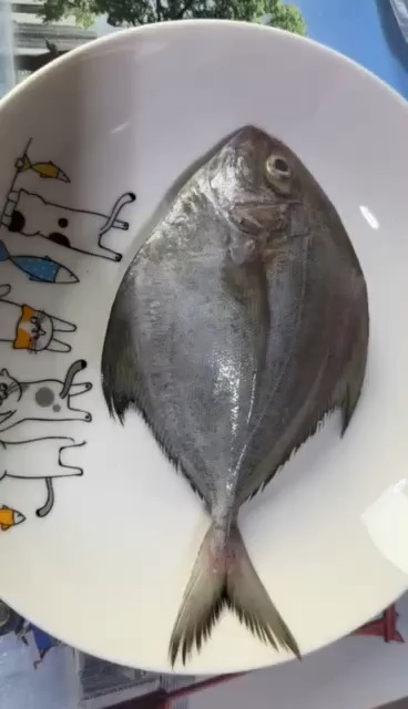 Fish Object Detection Model by blxm