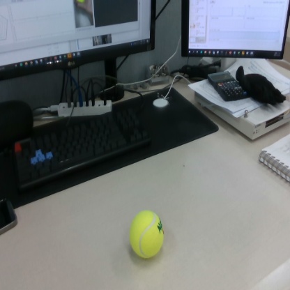 220103_Ball Object Detection Dataset by Sejin Kim