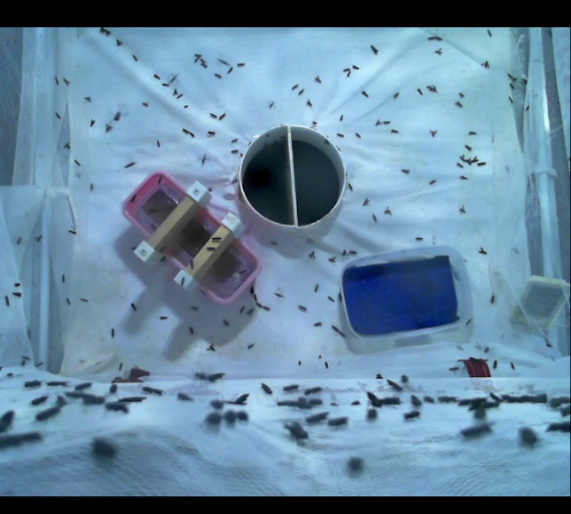 SPI-Bionovation Object Detection Model by SPI