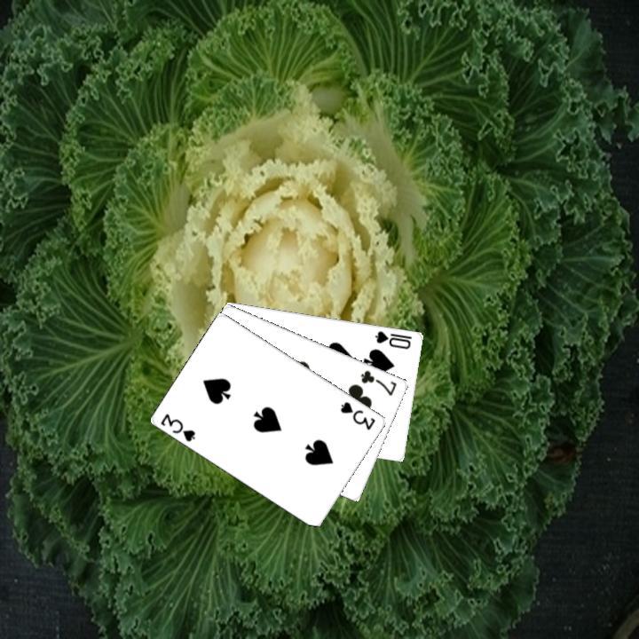 Playingcards Object Detection Dataset by doris-emily