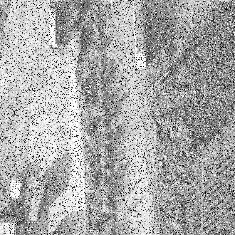 Tree enumeration (tree-enumeration-ehl1x) - Roboflow Universe