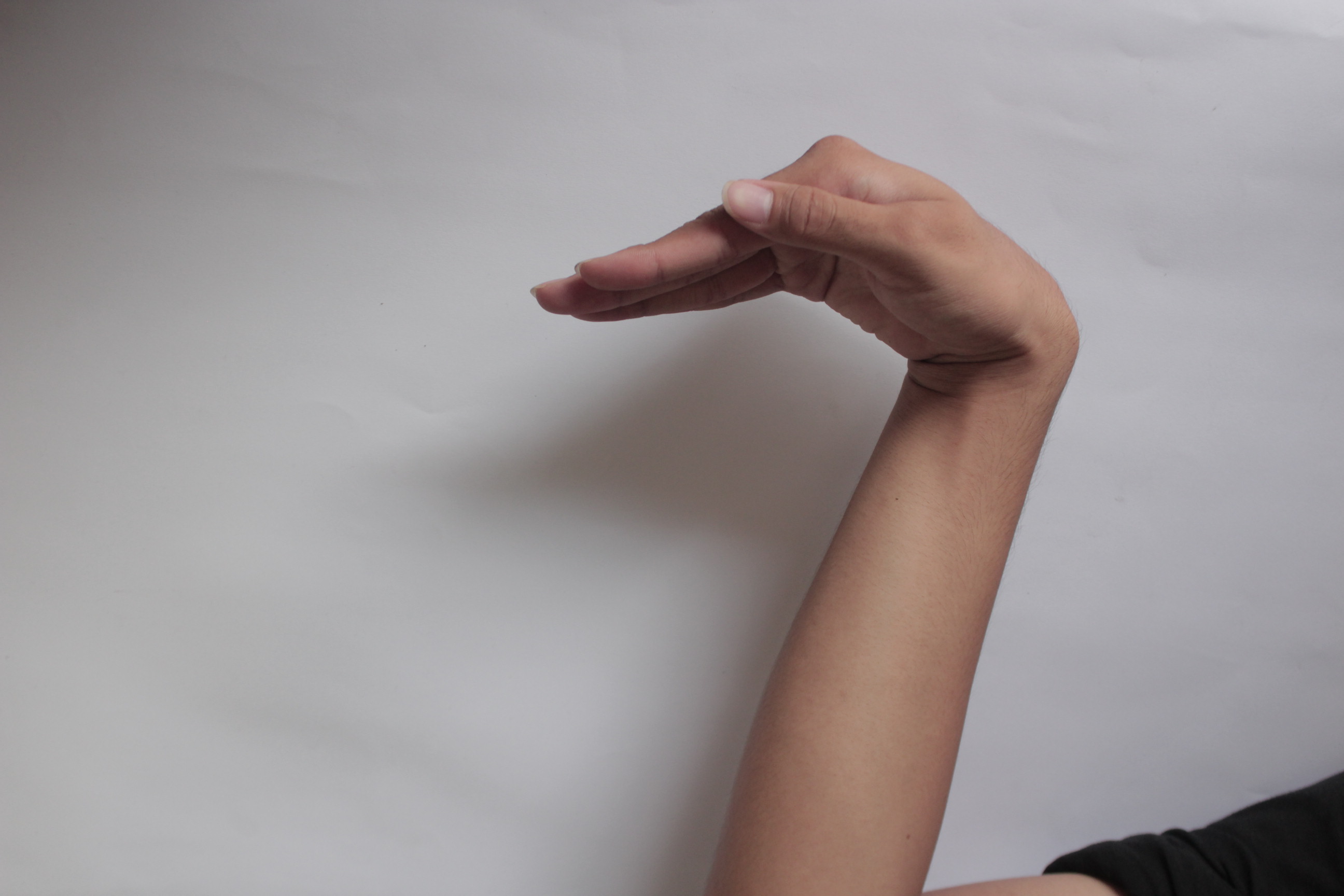 BISINDO Sign Language Object Detection Dataset and Pre-Trained Model by sign language