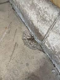 Efflorescence Instance Segmentation Dataset by efflorescence