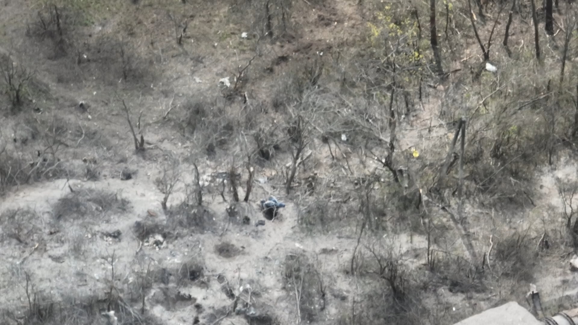 soldier_detection Object Detection Dataset by 01