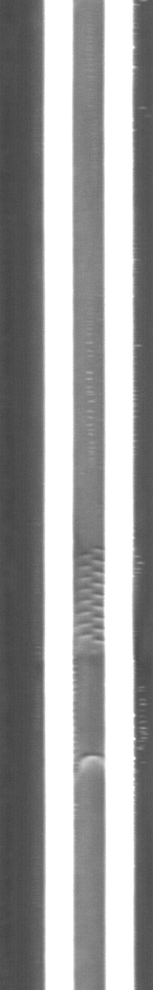 Toro Object Detection Dataset by WorkFolder