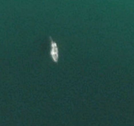 kaggle-ships-in-google-earth Object Detection Dataset (v3, 2023-01-10 4 ...