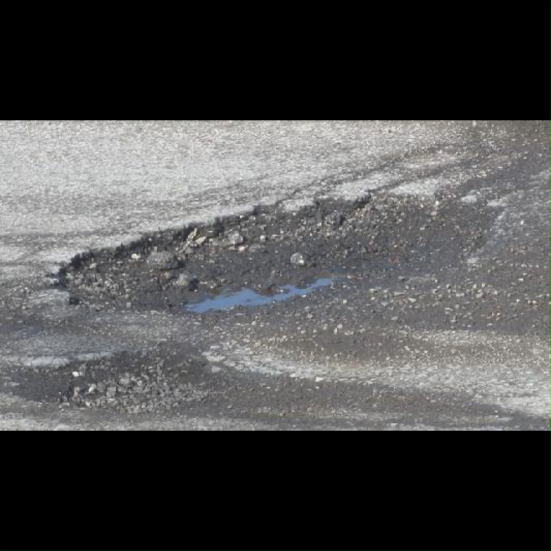 yolov8-seg Instance Segmentation Model by mohammed