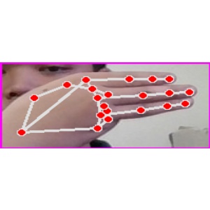 hand control Classification Model by test