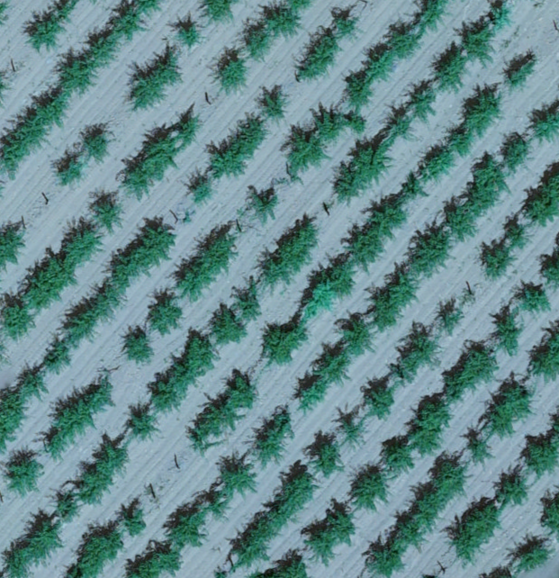 Vineyard Object Detection Dataset And Pre Trained Model By Vineyards