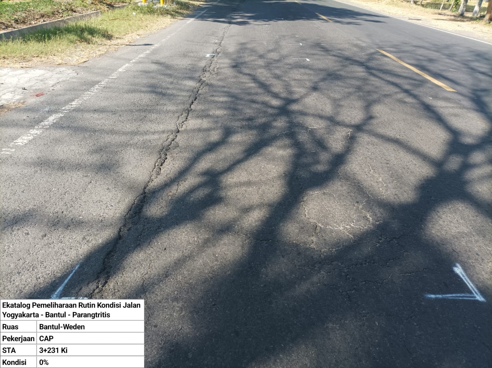 Sybr0610 Object Detection Dataset And Pre Trained Model By Rbfl