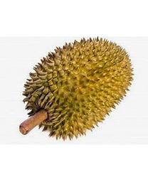 Durian Object Detection Dataset by anotasisatu