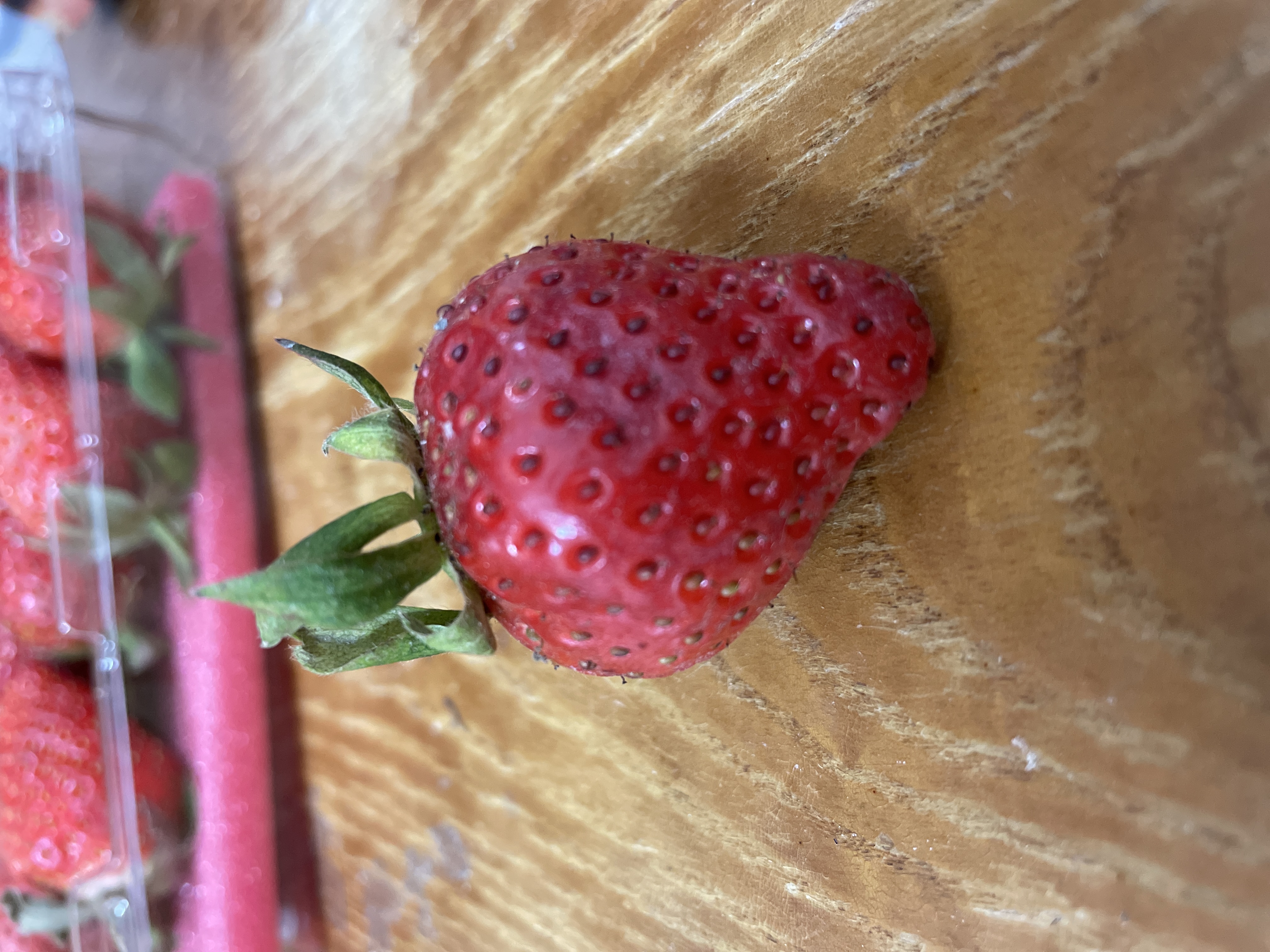 strawberry-3 Instance Segmentation Dataset by Memoona