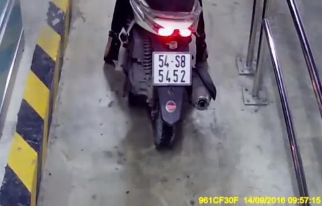 license plate Object Detection Model by yolo