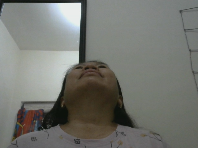 Head movement terang Object Detection Dataset and Pre-Trained Model by Skripsi