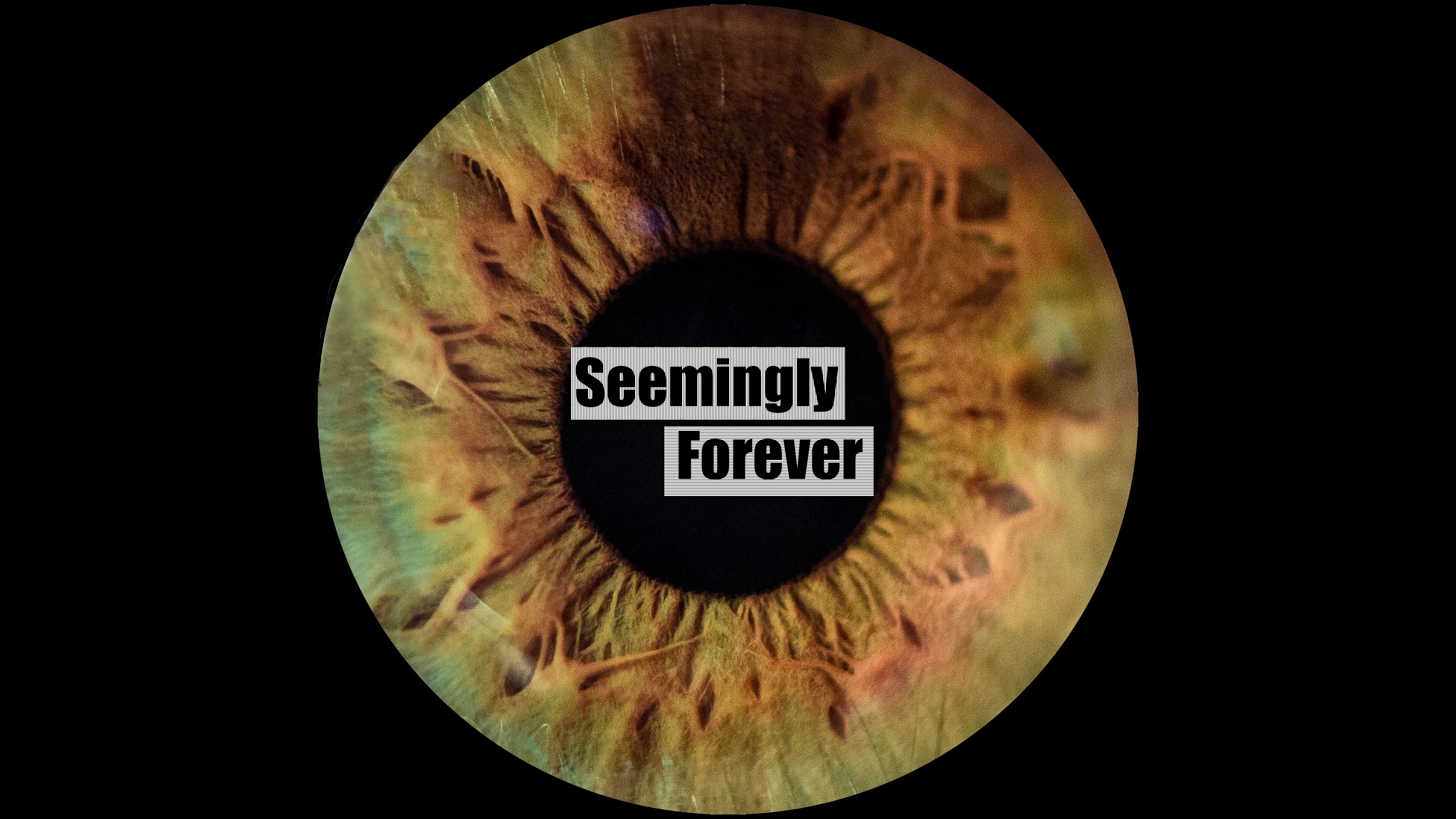 Plant Growth Detection Instance Segmentation Dataset V1 2024 02 24 6