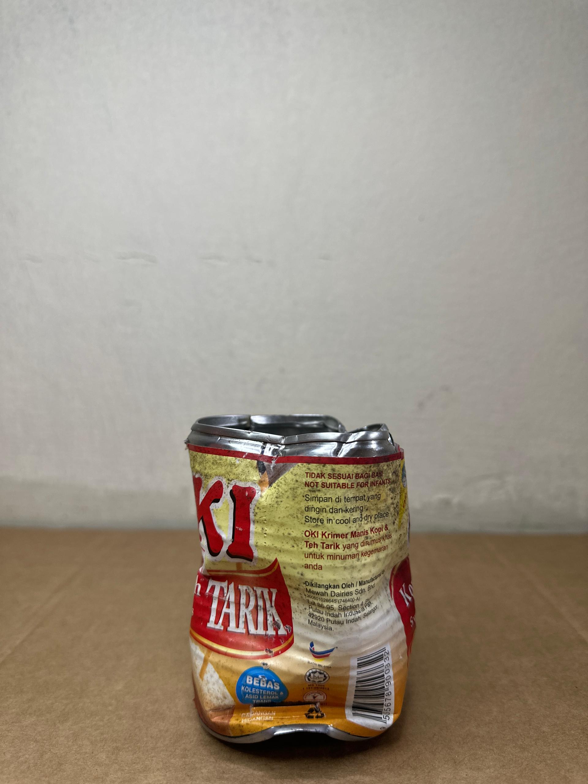 DENT SEG Instance Segmentation Dataset and Pre-Trained Model by AmirAsyraf