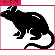 RATS Object Detection Dataset and Pre-Trained Model by Uni