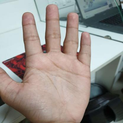 palm_recognition Object Detection Dataset by palmm