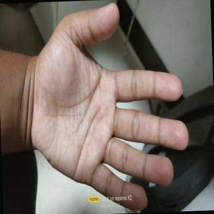 palm Object Detection Dataset by palmm