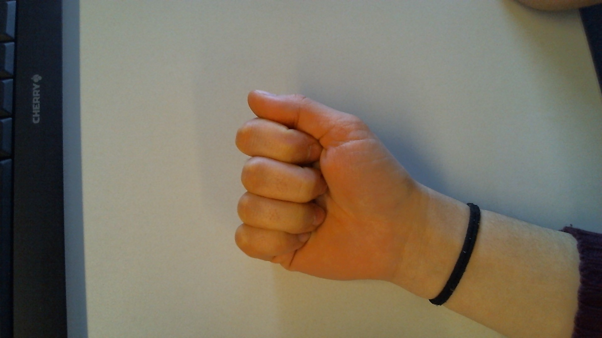 signlanguage (signlanguage-cnvrl) - Roboflow Universe