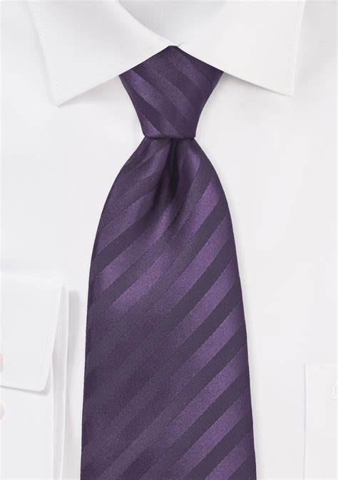 Tie Object Detection Dataset By Practicas Preprofesionales