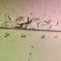 aircraft-skin-defects-new-dataset Object Detection Model by Dibya Dillip