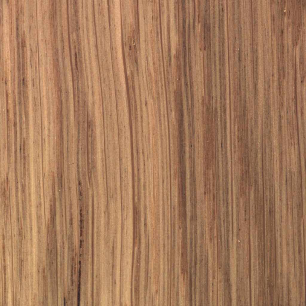 Anomaly detection Object Detection Dataset by AI and Ethics