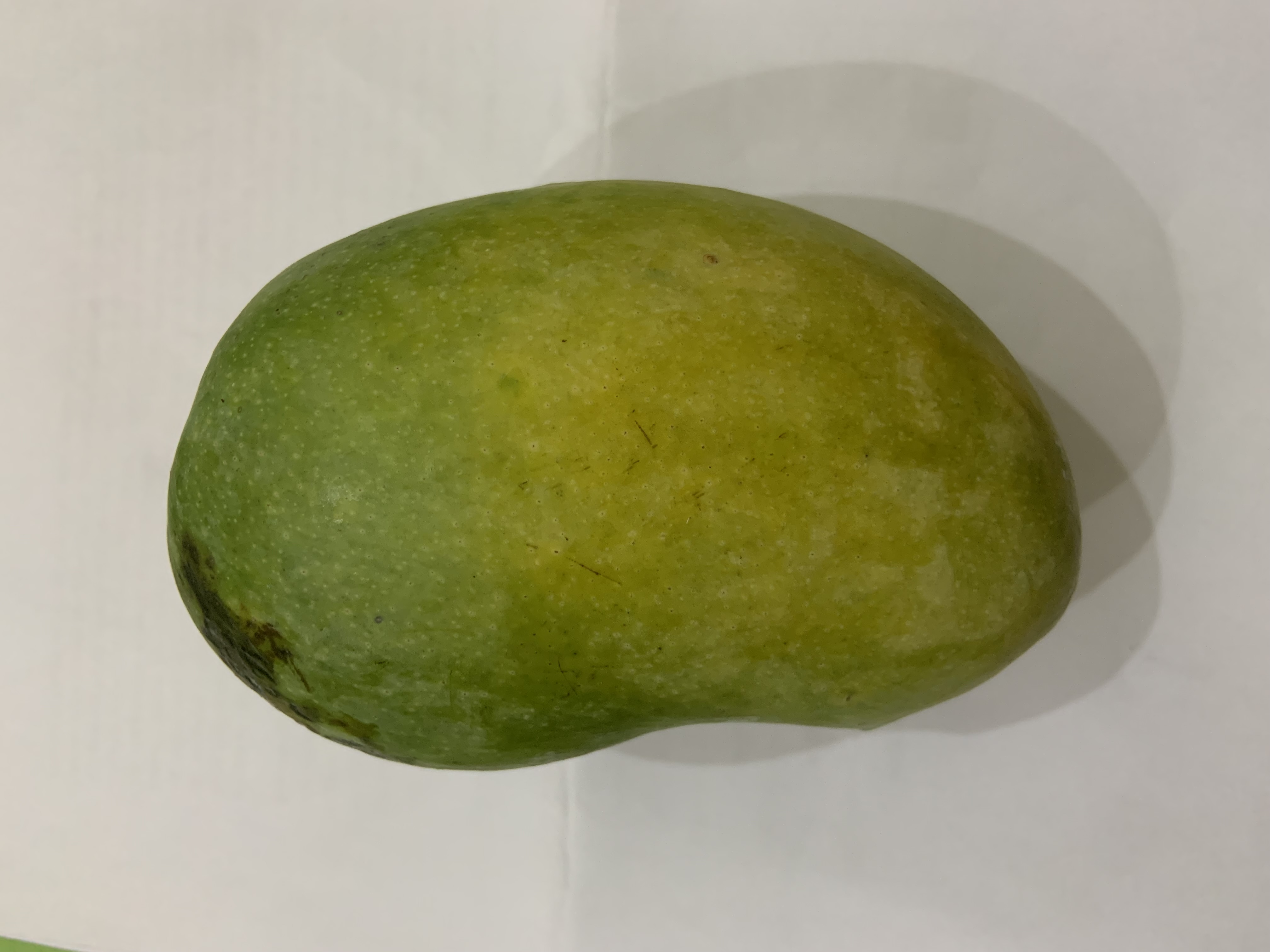 MangoTech - Roboflow Universe