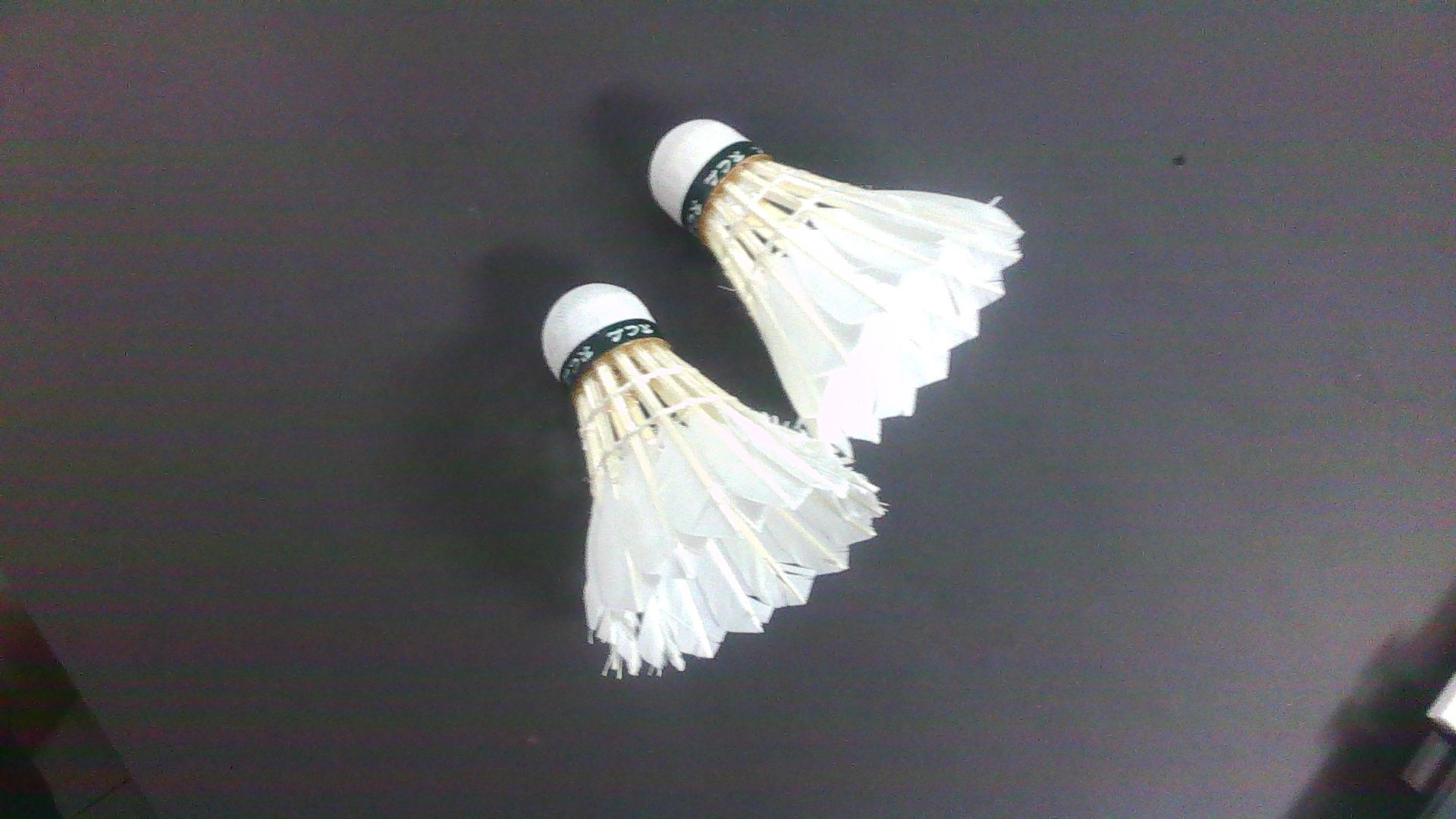 Shuttlecock Robot Object Detection Dataset And Pre Trained Model By