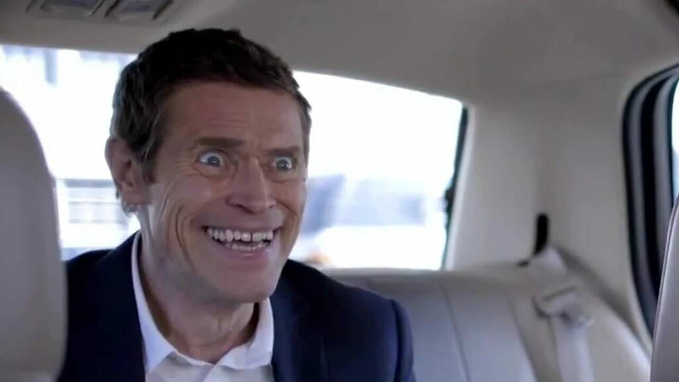 Mimics Object Detection Model by project-es1z6