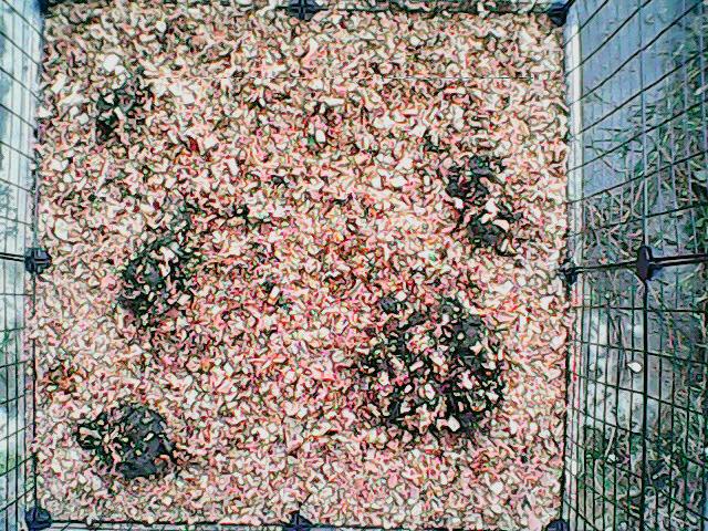 Zaki Dataset Object Detection Dataset By Zakiganda76