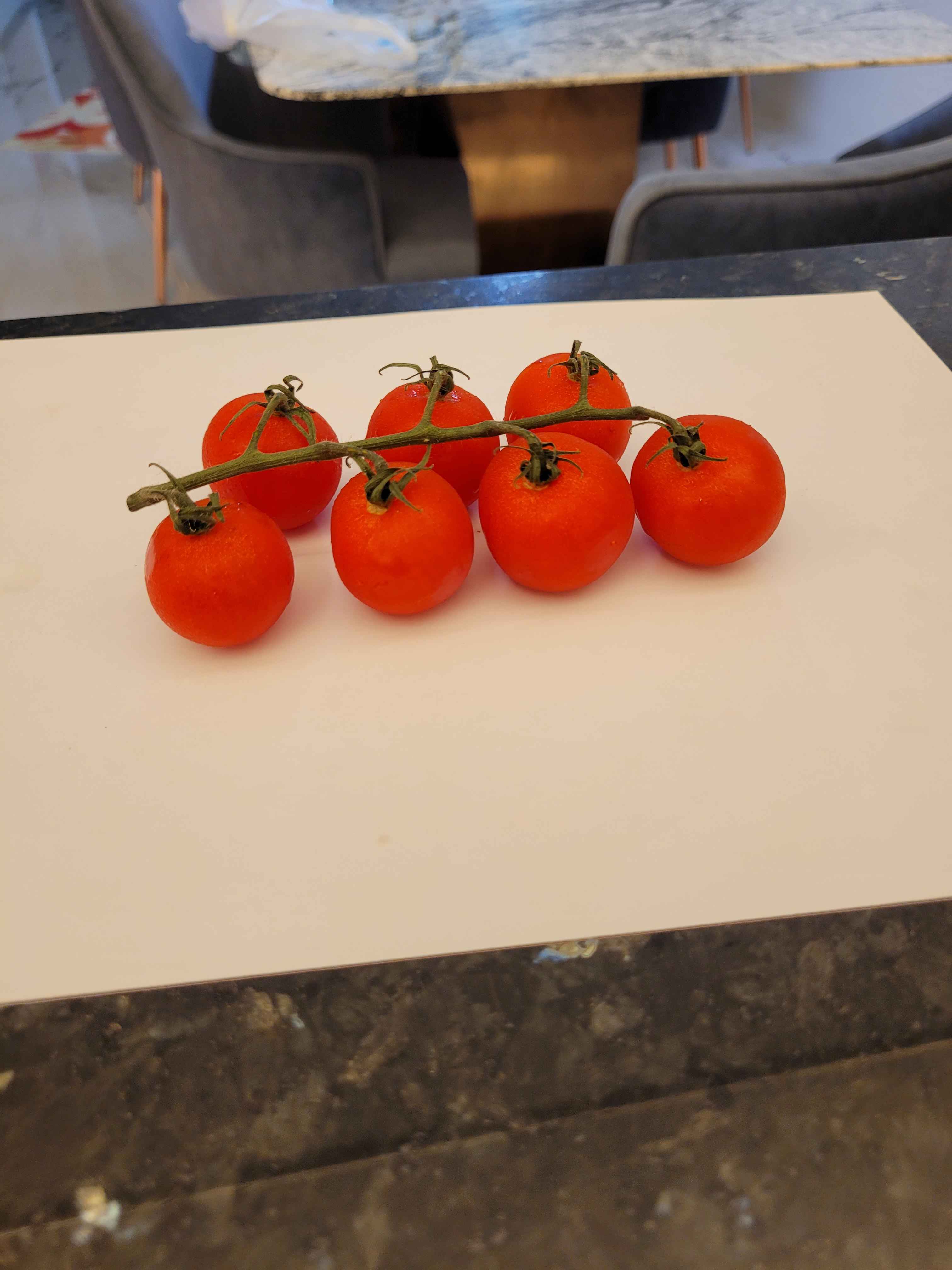 cherry tomato Instance Segmentation Model by personal