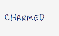 HANDWRITTEN-DETECTION_TEST_DATA Object Detection Model (v1, 2023-04-19 ...