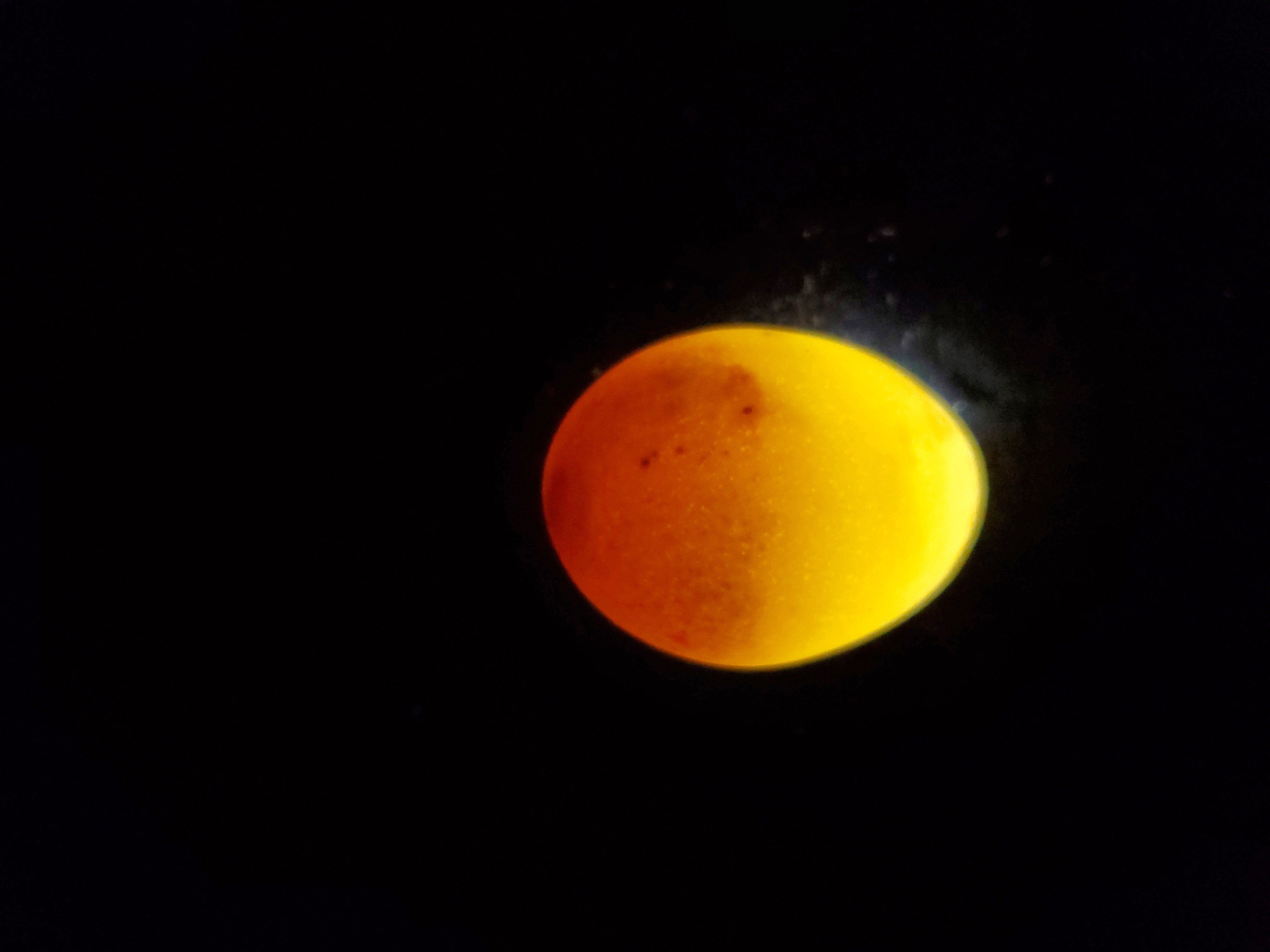 Eggs Classification Model by spoiled egg classification