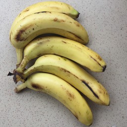 How to Use the Fruit Freshness Detection Object Detection API