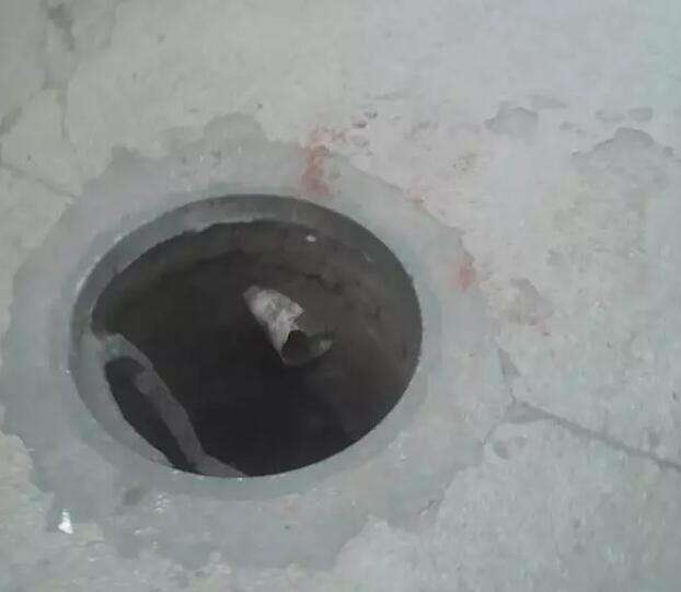 manhole cover Object Detection Dataset by 范禧铭